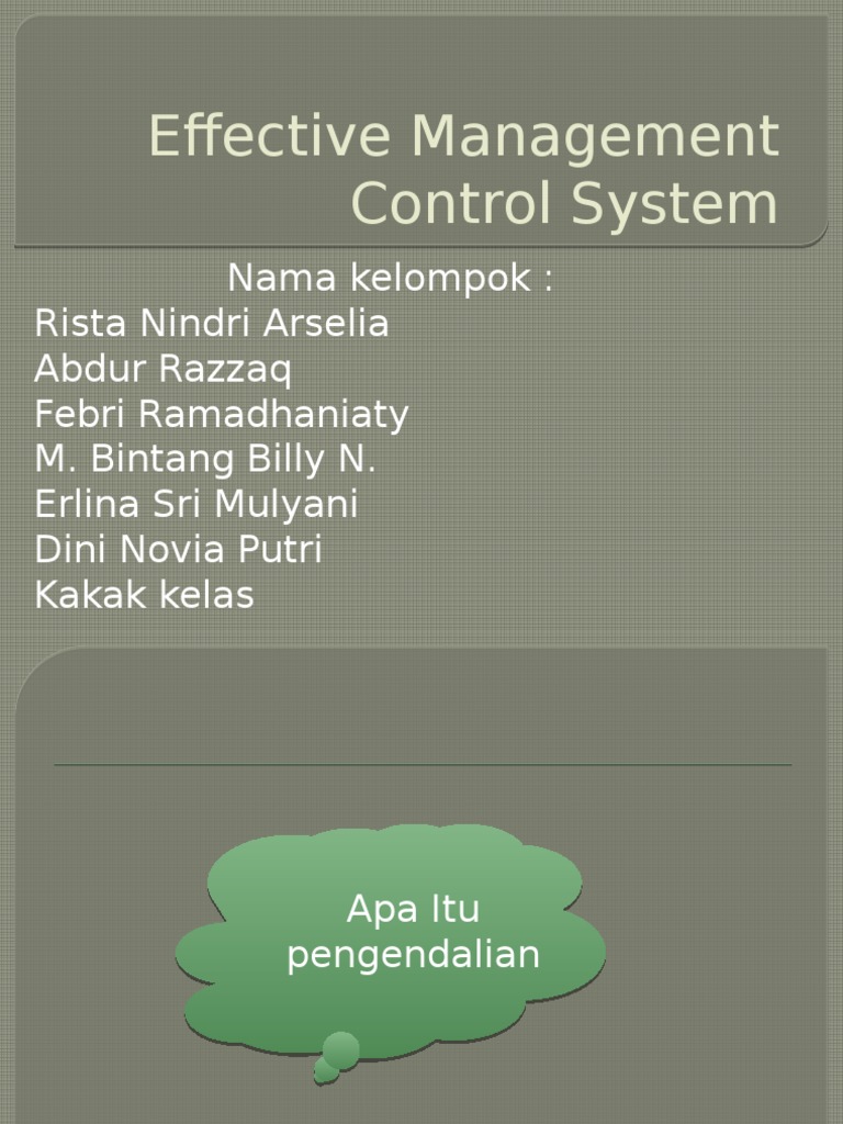 Effective Management Control System | PDF