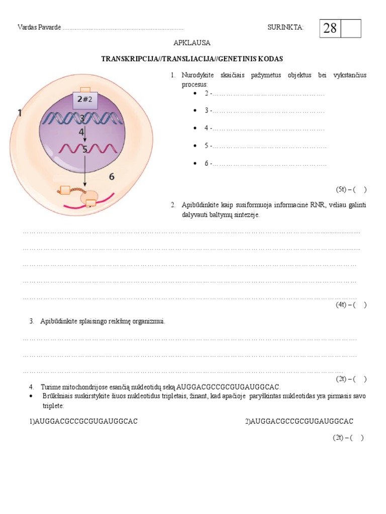 Apklausa Transkripcija | PDF