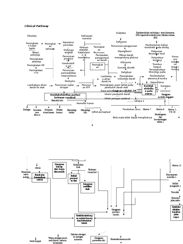 Pathway Stroke Infark | PDF