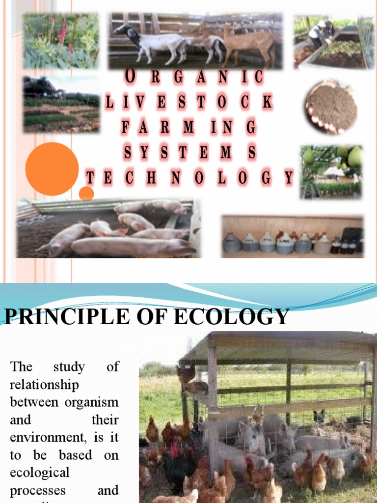 Natural Farming Technology Piggery Pdf Wild Boar Domestic Pig