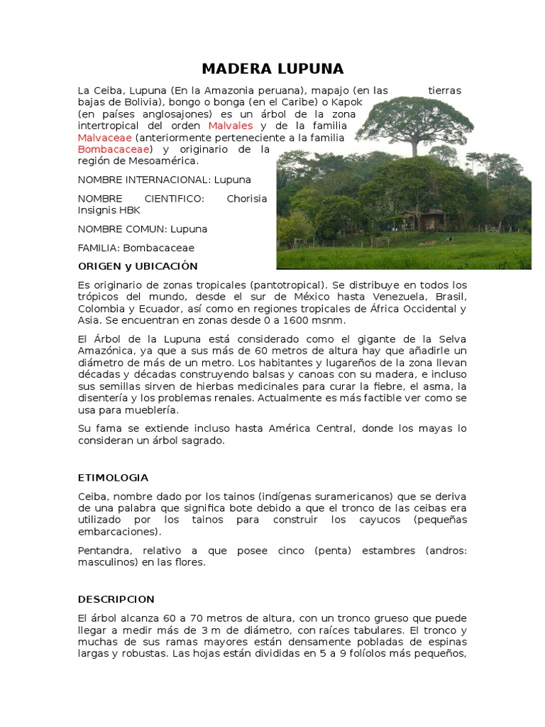 Madera Lupuna | PDF | Arboles | Plantas