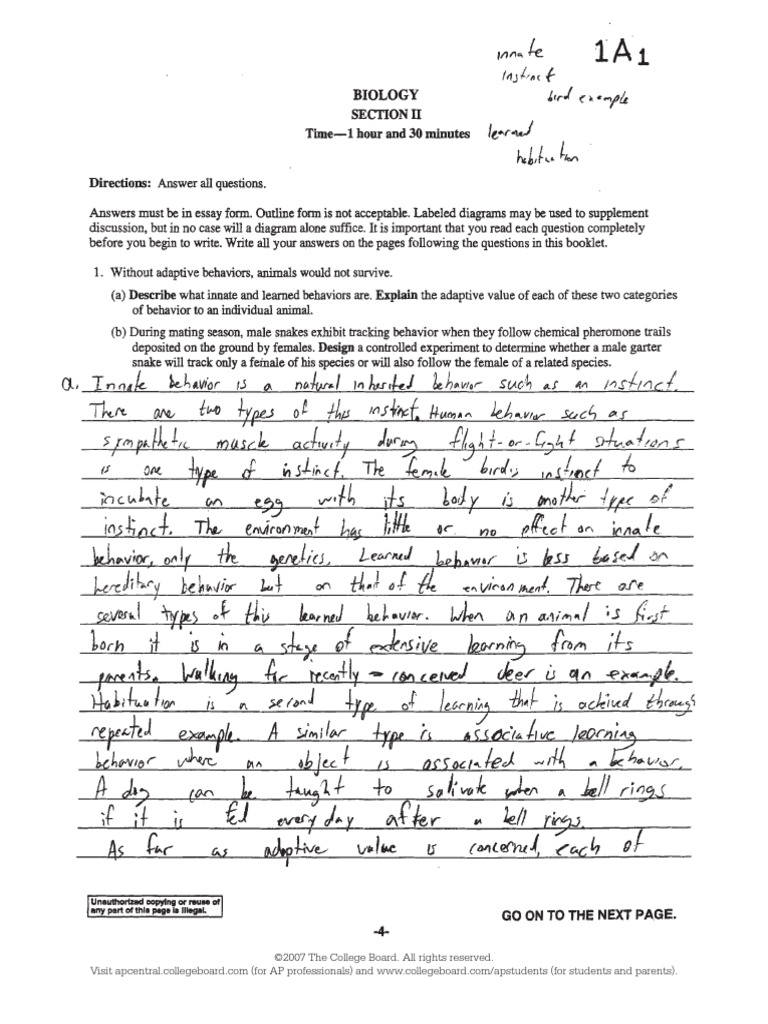 Student Example | PDF