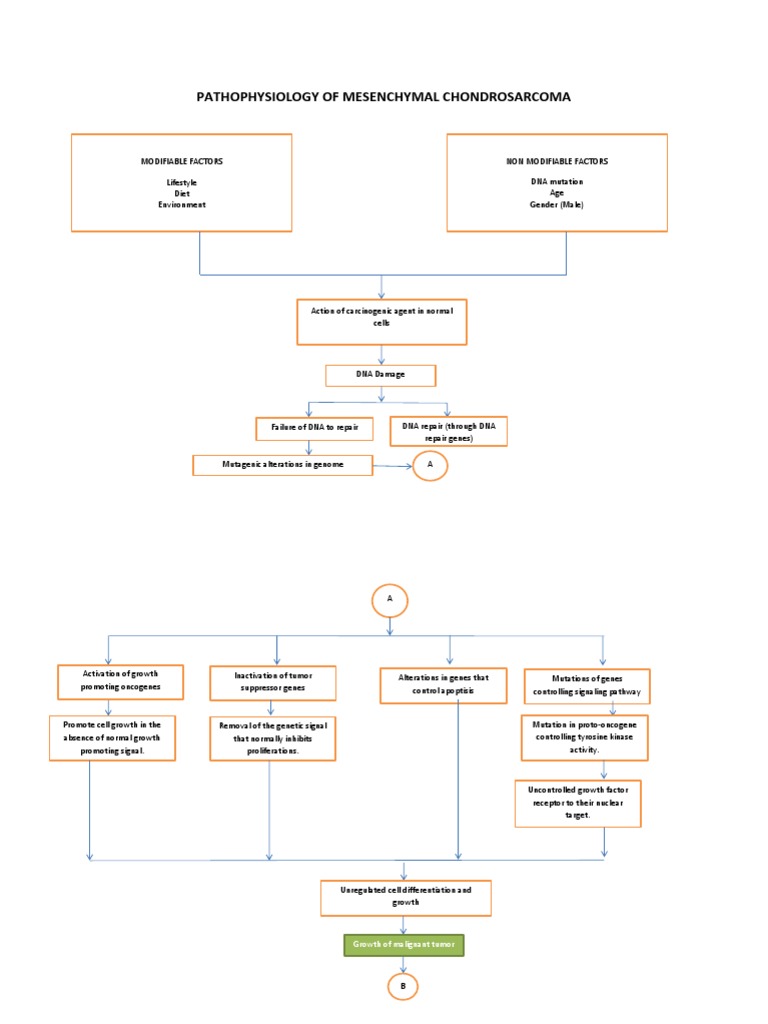Pathophysiology, Bone Cancer | PDF | Cancer | Biology