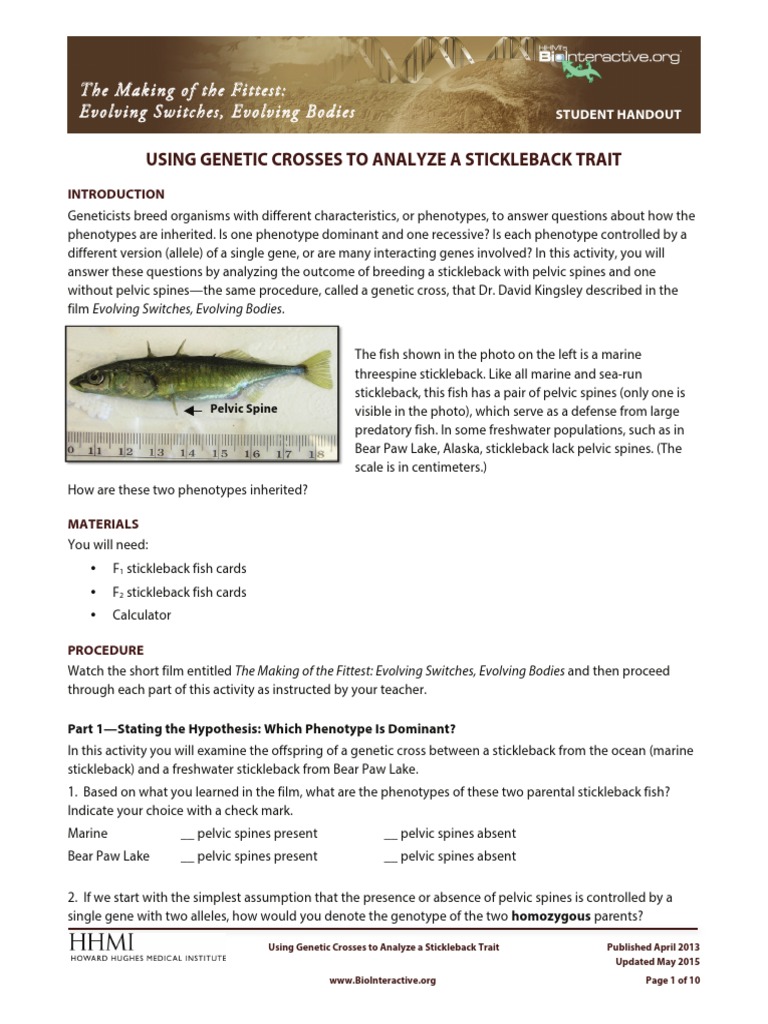 Analyzing the Genetics of Pelvic Spine Presence in Threespine ...