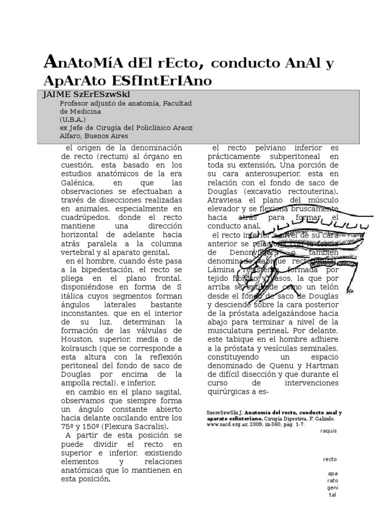 Anatomía del Recto y Conducto Anal | PDF | Útero | Recto