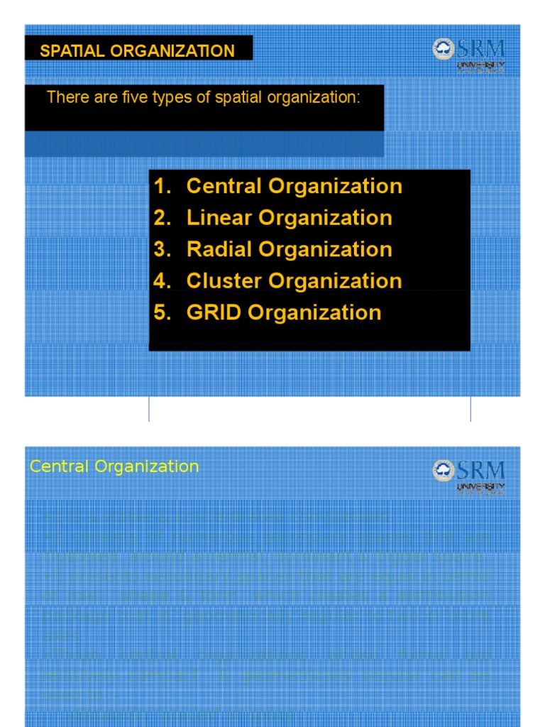Spatial Organization | PDF | Symmetry | Shape