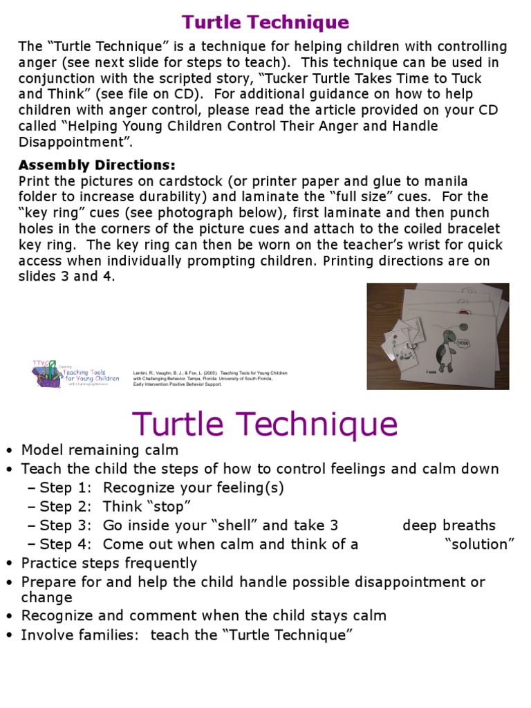 Turtle Technique | PDF | Teaching And Learning | Teachers