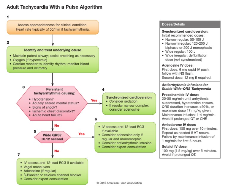2010 Integrated Updated Circulation ACLS Tachycardia Algorithm ...