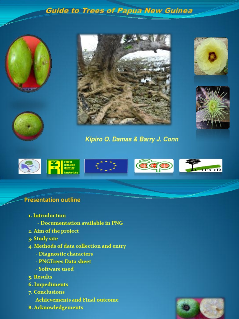 KDamas-Guide To Trees of Papua New Guinea | PDF | Papua New Guinea ...