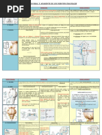 El Colículo Superior | PDF | Anatomía humana | Neurociencia