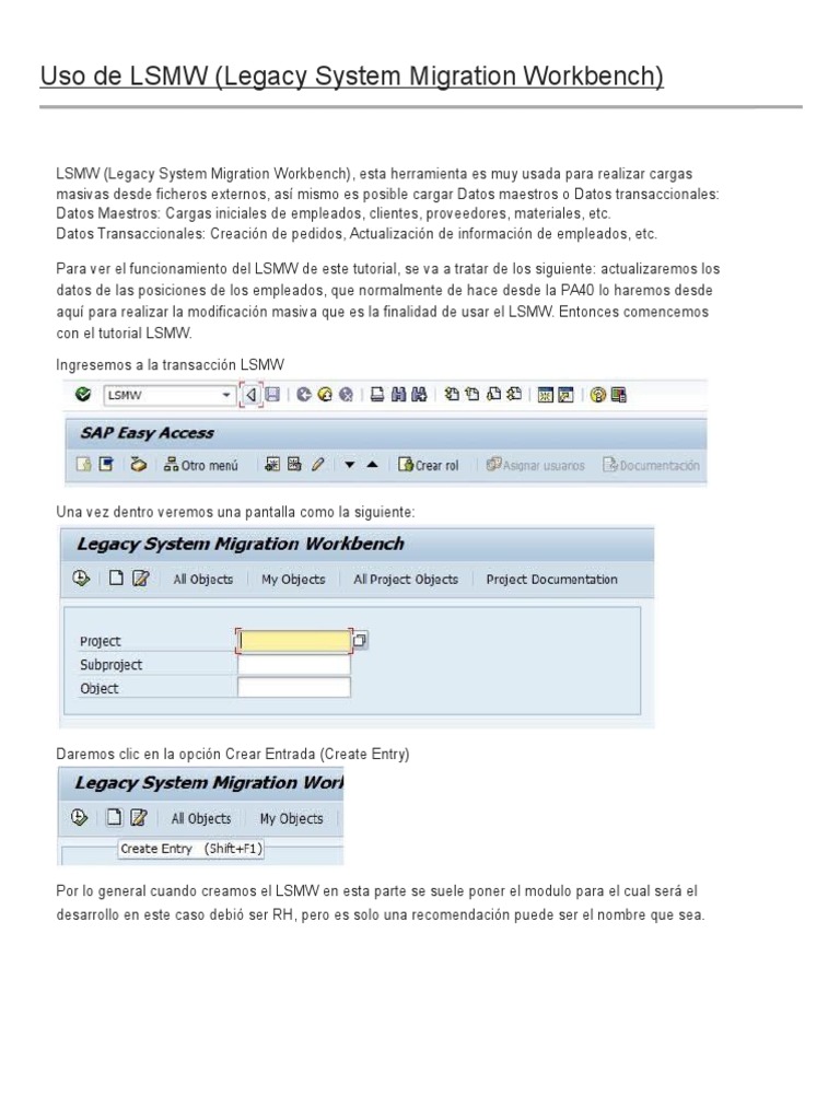 Uso de LSMW (Legacy System Migration Workbench) | PDF | Point and Click | Microsoft Excel