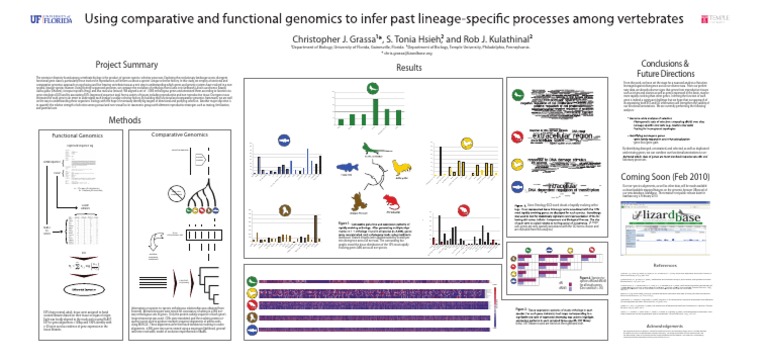 Poster B | PDF | Gene | Genomics