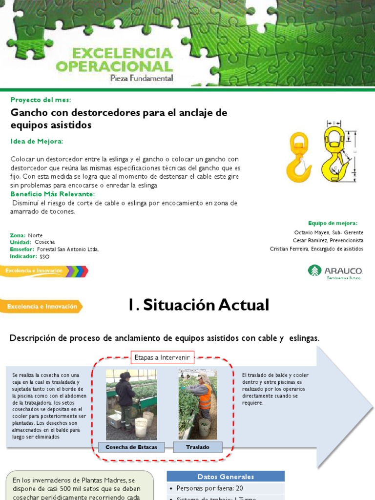 Formato Quick Win Destorcedores | PDF | Naturaleza