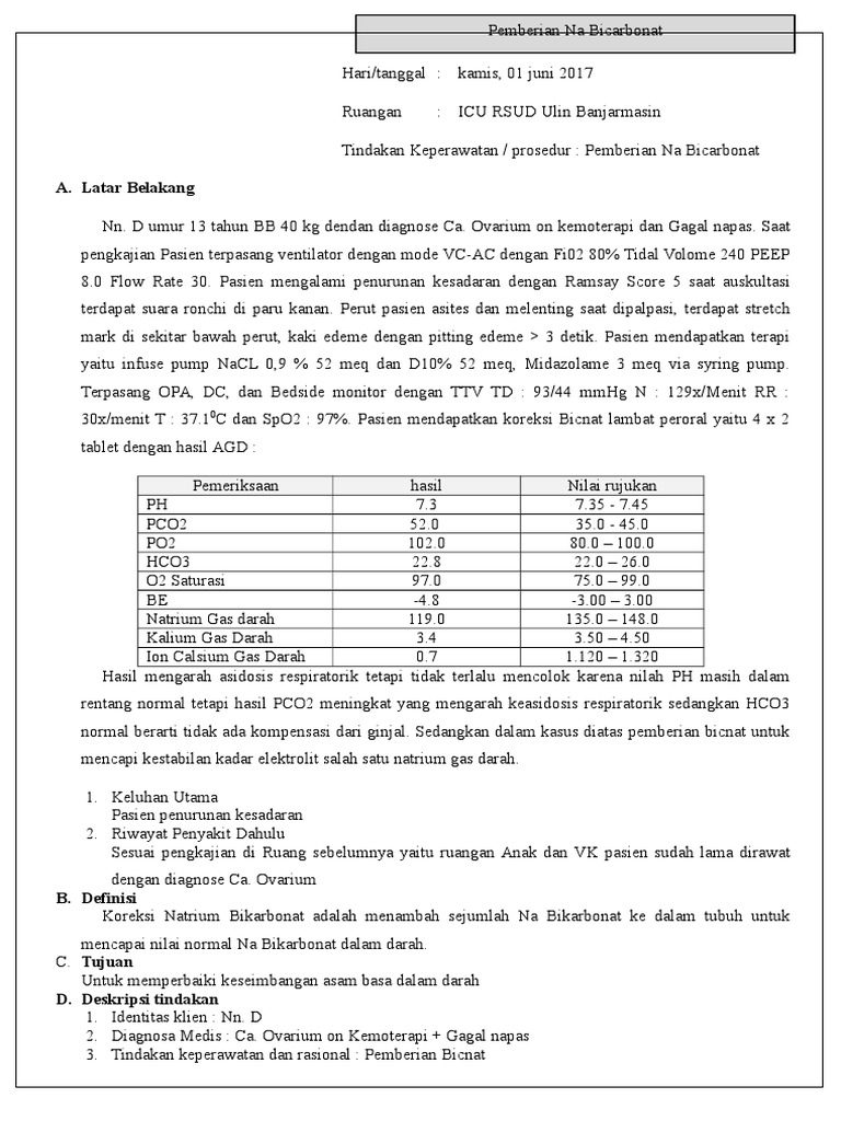 Logbook Bicnat | PDF