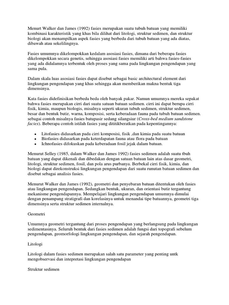 Analisis Fasies | PDF