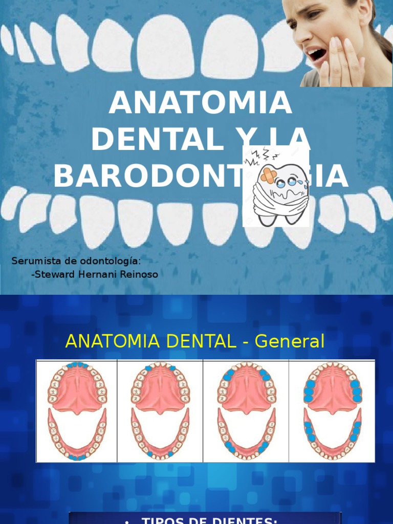 Anatomia y Barodontalgia | PDF