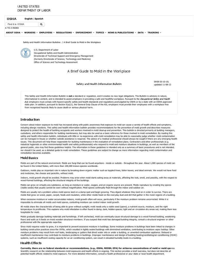 Mold Safety Guidelines for Workplaces | PDF | Mold | Personal ...