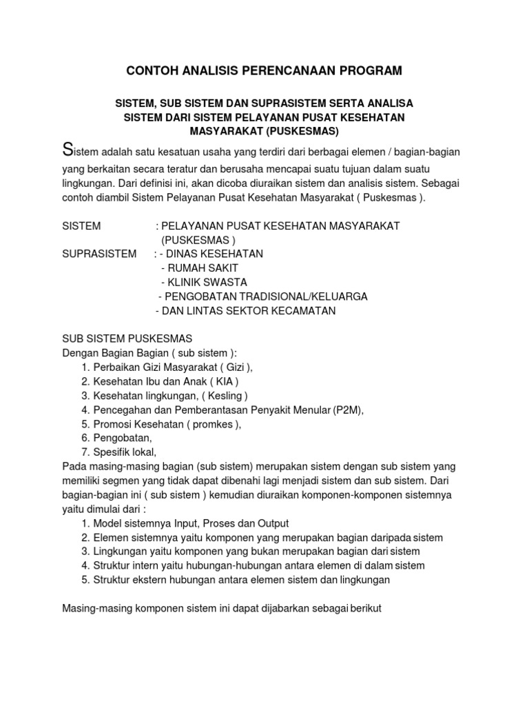 Contoh Analisis Perencanaan Program - Rina | PDF