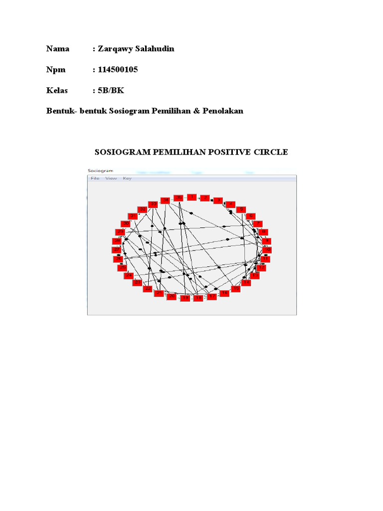 Sosiogram Positive & Negative | PDF