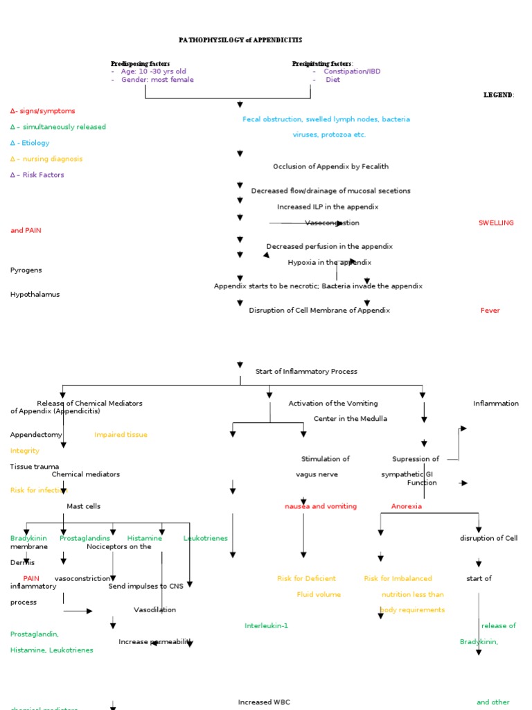 Pathophysiology of Appendicitis | PDF | Inflammation | Medicine