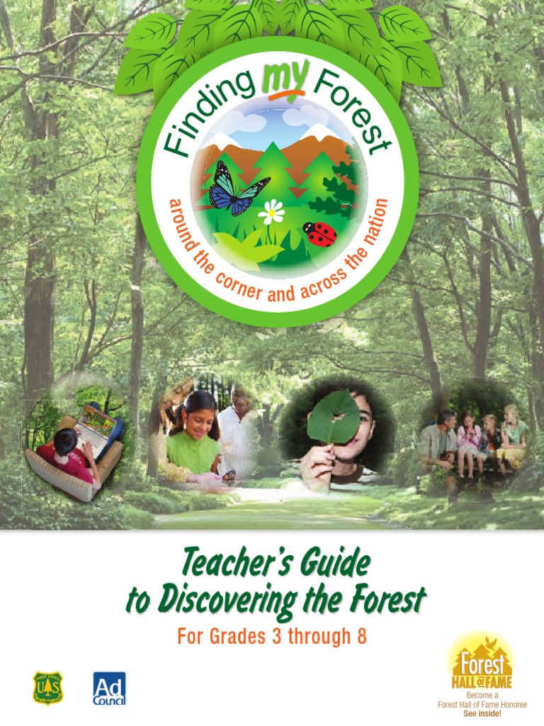 Finding My Forest | PDF | Forests | Classroom