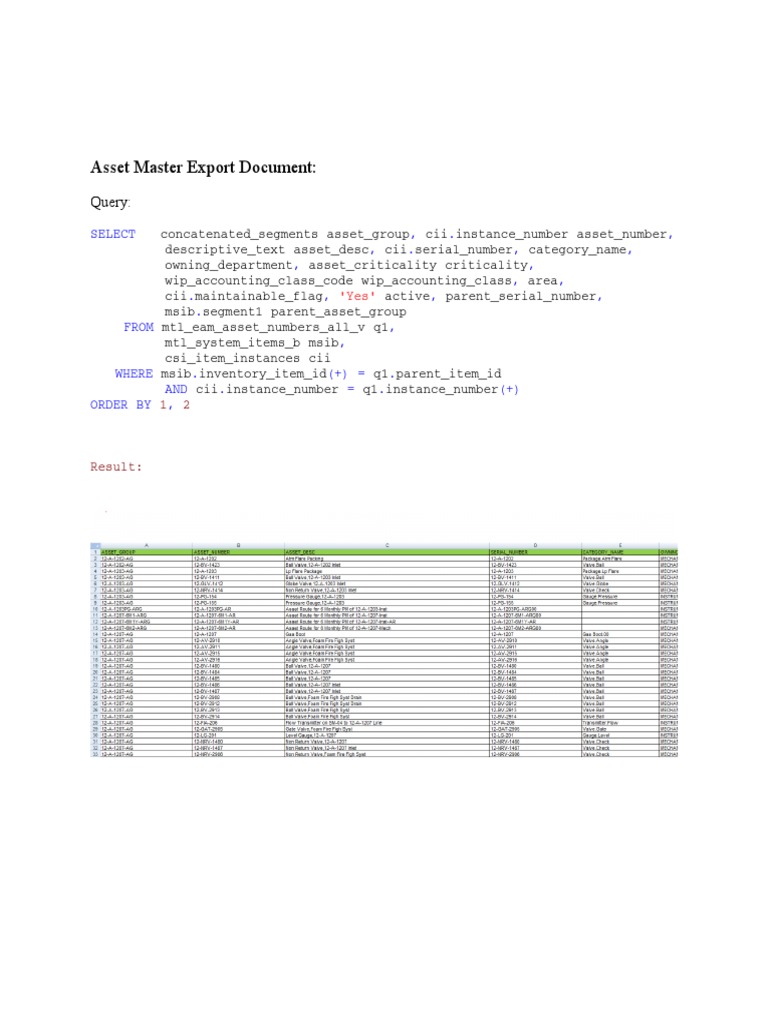 Asset Master Export Document | PDF