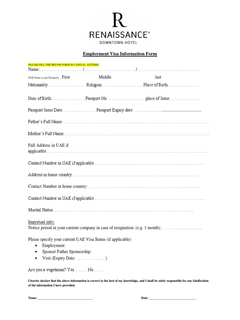 Employment Visa Information Form | PDF
