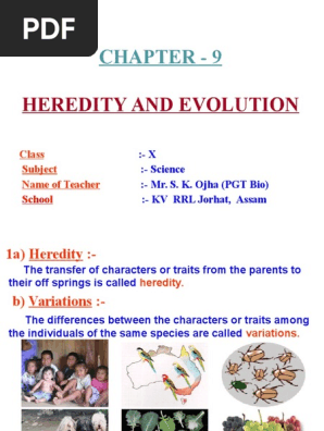 Heredity Class 10