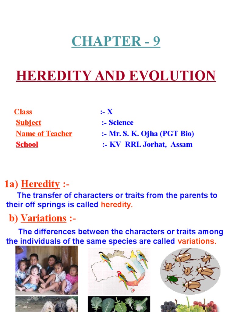 Heredity and Evolution | PDF | Heredity | Genetic Variation