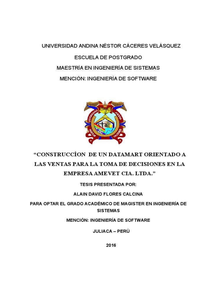 Construccíon de Un Datamart Orientado A Las Ventas para La Toma de Decisiones en La Empresa ...