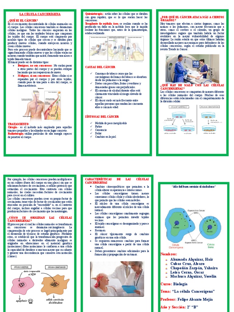 Triptico Celula Cancerigena | PDF | Cáncer | Neoplasias