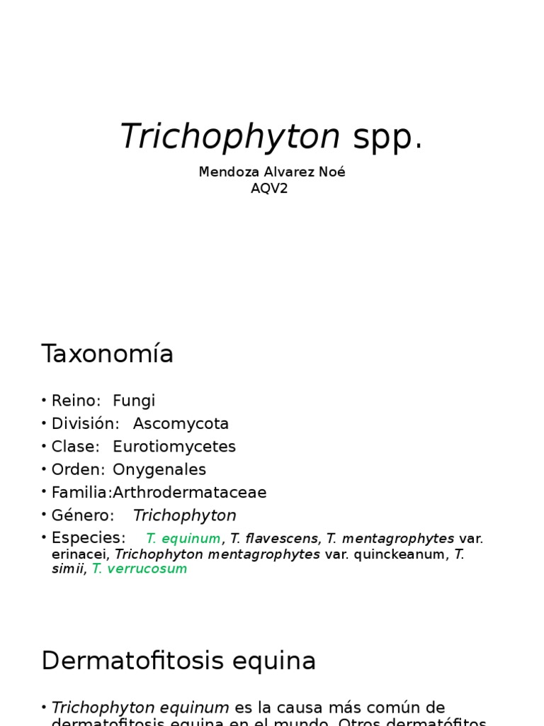 Trichophyton SPP | PDF | Especialidades Medicas | Microbiología