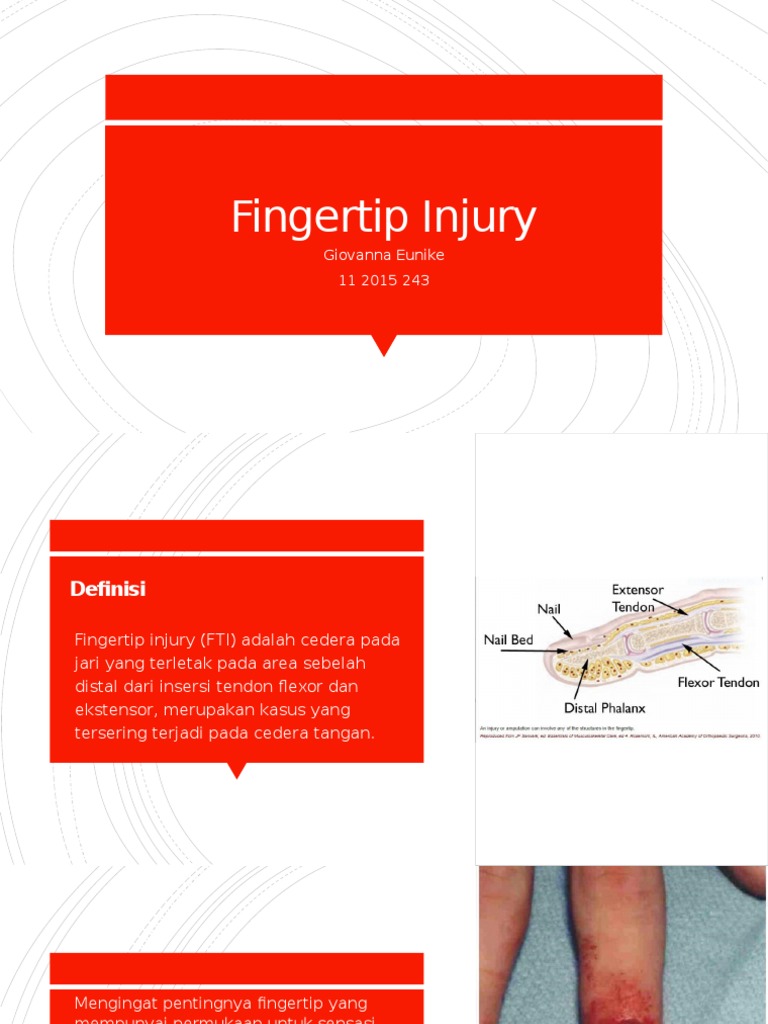 Fingertip Injury | PDF