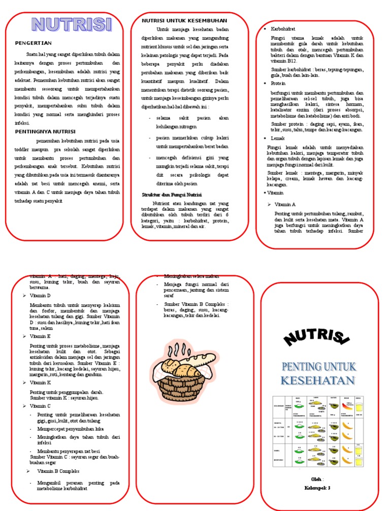 Leaflet Nutrisi | PDF