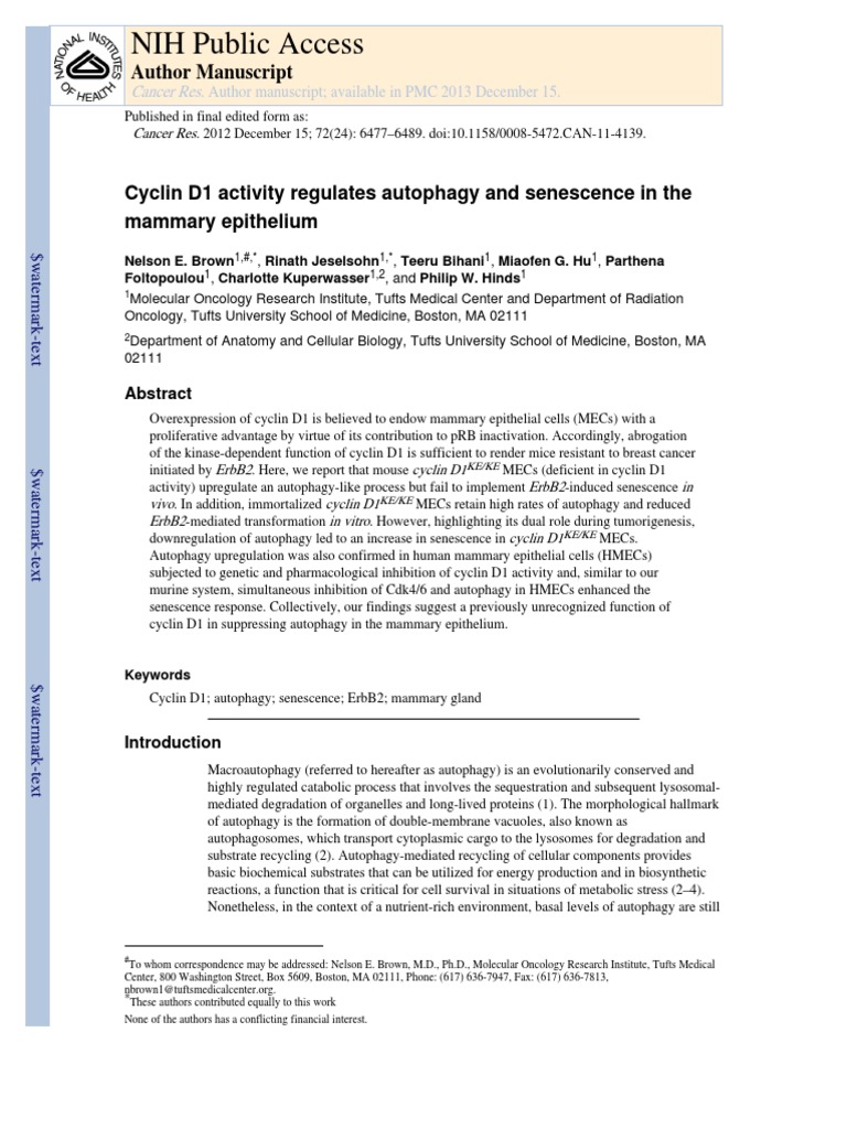 Rol de Ciclinas en Cancer Mamario | PDF | Autophagy | Carcinogenesis