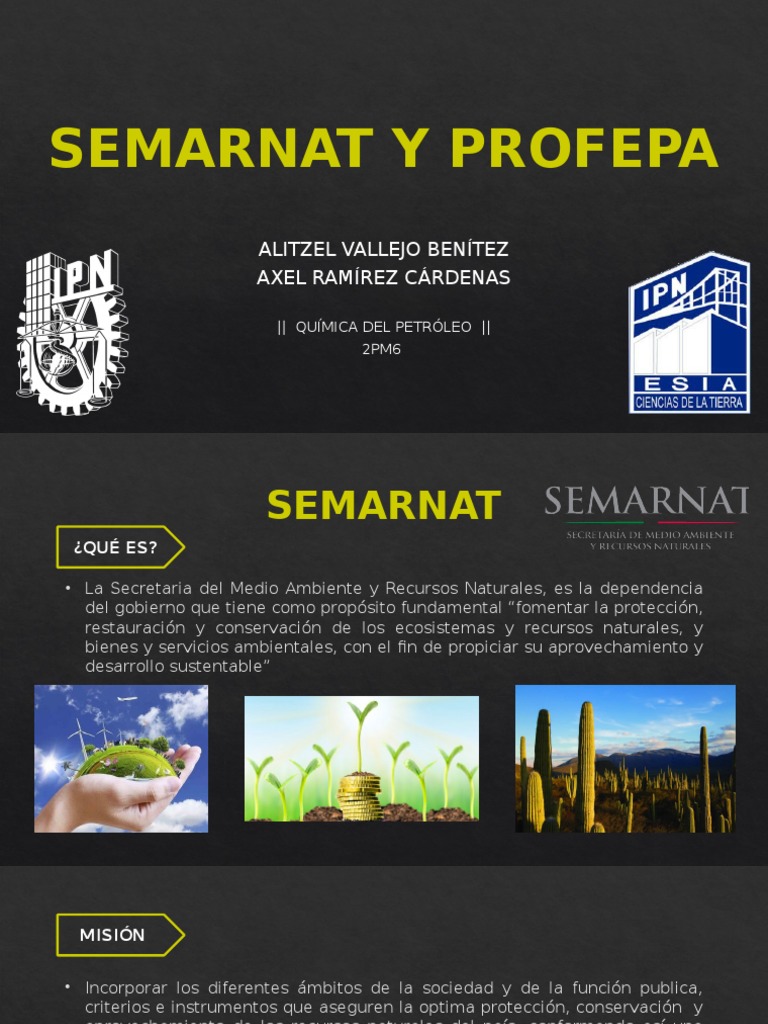 Semarnat y Profepa en La Industria Petrolera | PDF | Petróleo ...