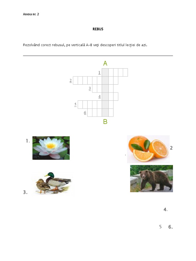 Anexa NR 2 Rebus | PDF