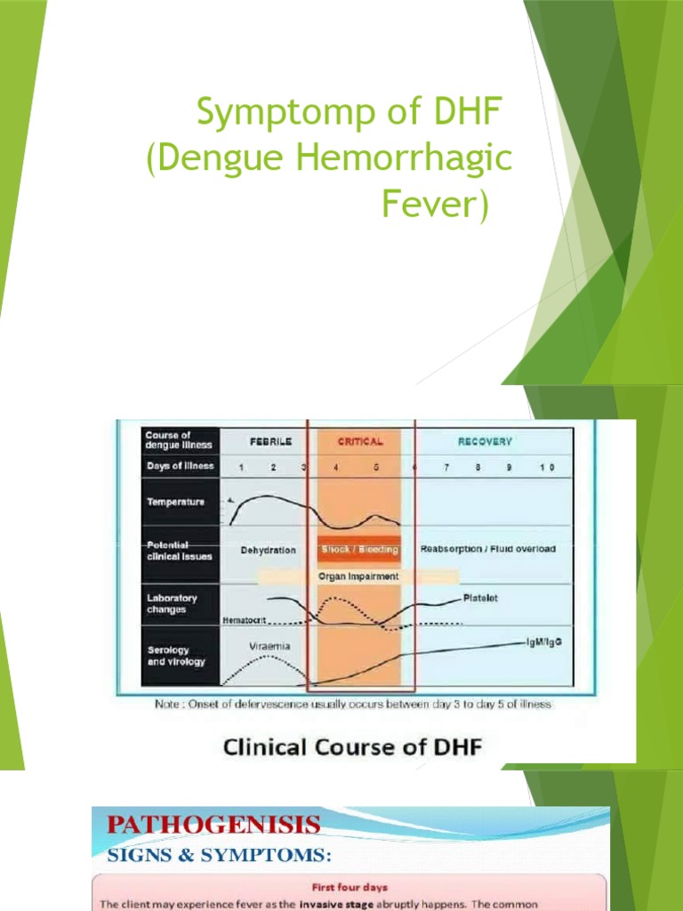 Symptomp of DHF (Dengue Hemorrhagic Fever) | PDF