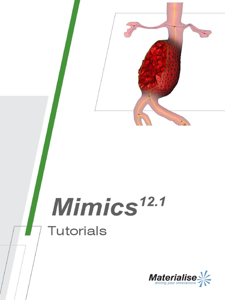 Mimics 12 | PDF | Image Segmentation | File Format