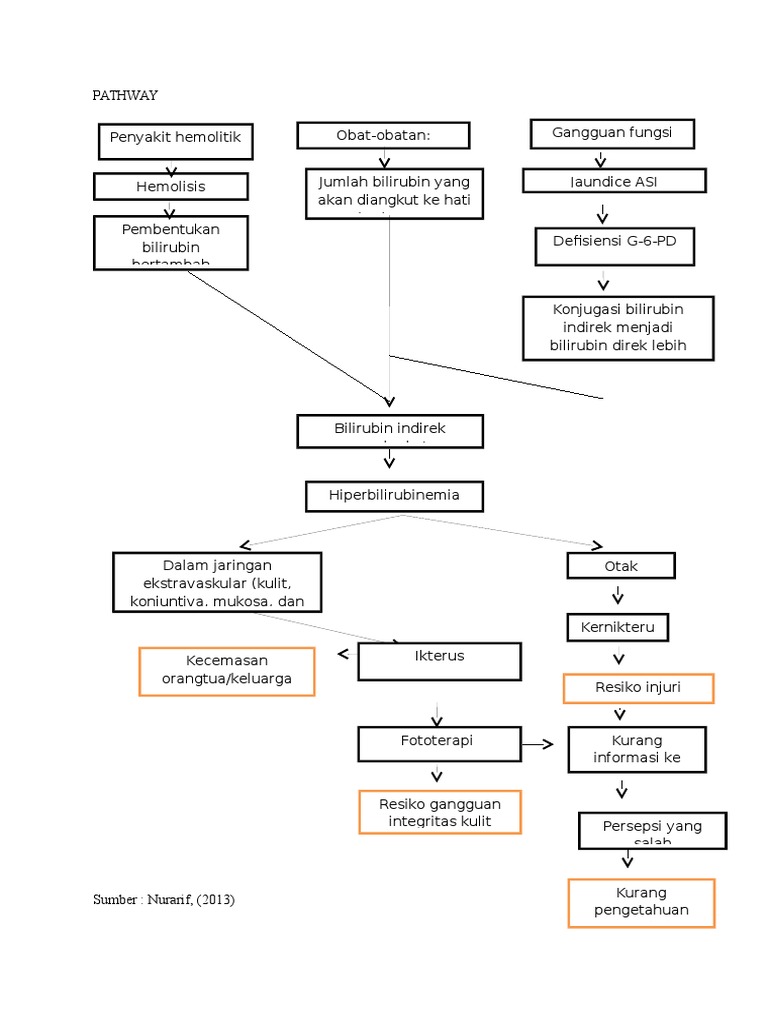 WOC Ikterus Neonatus | PDF