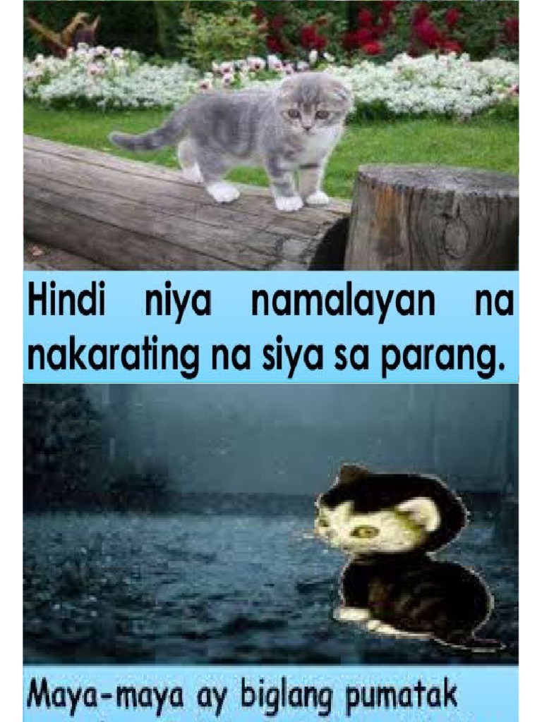 Ang Nawawalang Si Kuting Story