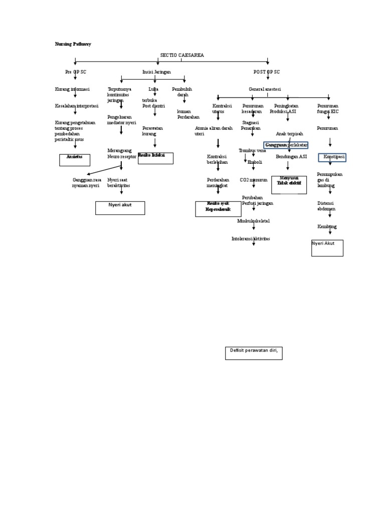 Nursing Pathway SC | PDF