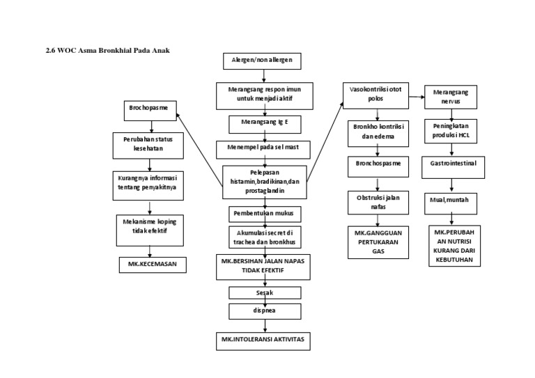 Pathway Asma Bronkhial Pada Anak