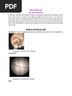 Name: Virtual Microscope by BIONETWORK: Online Edition | PDF | Optical ...