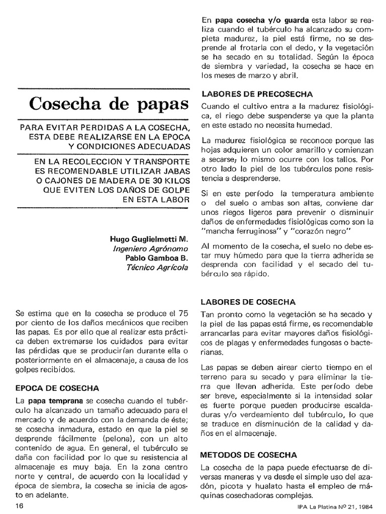 Cosecha Y Manejo De Papas Pdf Patata Arado