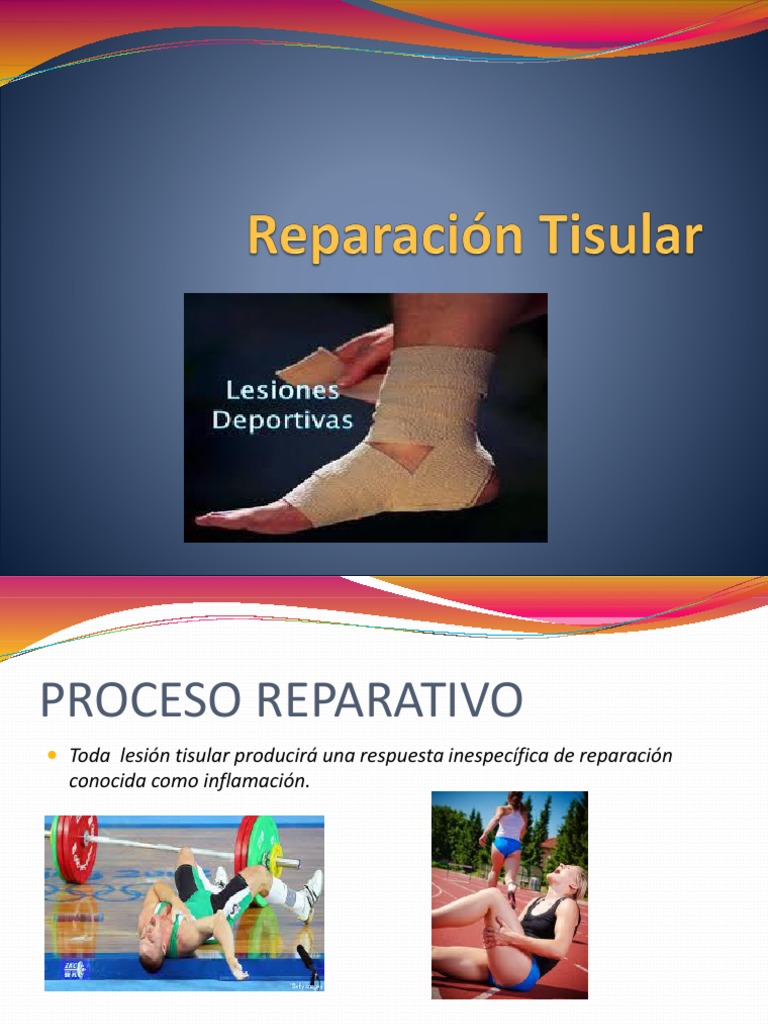 4.-Reparación-Tisular | Inflamación | Ciencias de la Salud