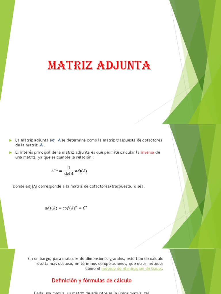 Matriz Adjunta | PDF | Matriz (Matemáticas) | Matemáticas Aplicadas