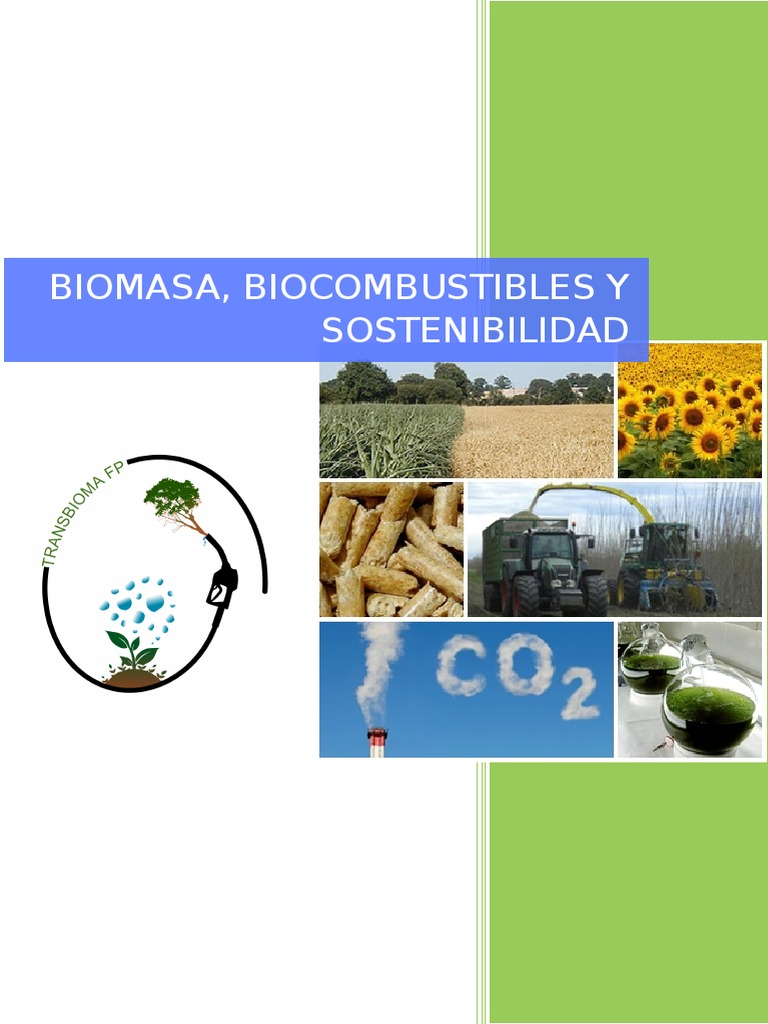 Biomasa, Biocombustibles y Sostenibilidad PDF | Descargar gratis PDF | Biomasa | Combustibles