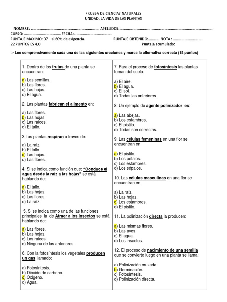 Evaluación de Partes de la Planta | PDF | Flores | Raíz