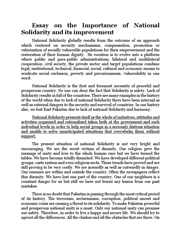 Essay On The Importance of National Solidarity and Its Improvement ...